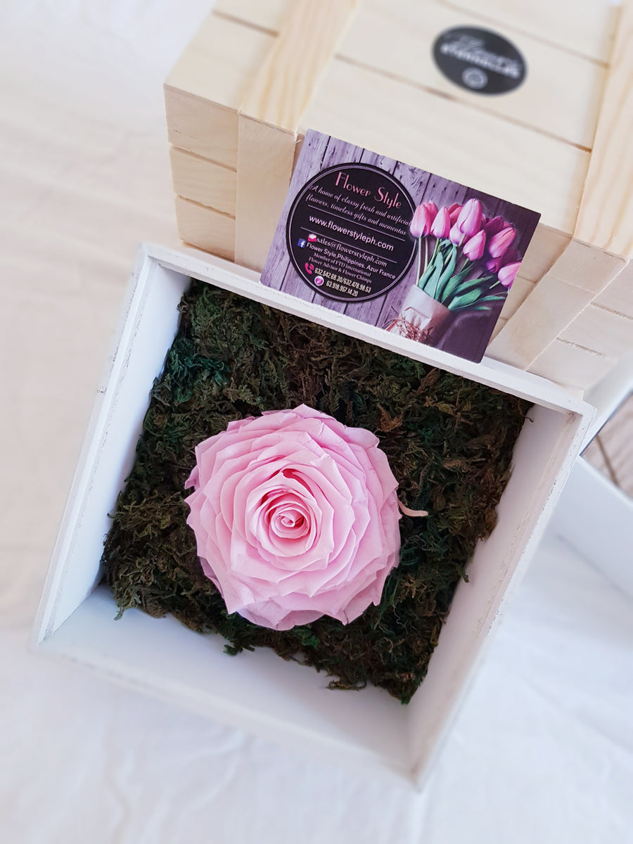 Eternal Rose XL PINK Preserved Rose – flowerstyleph